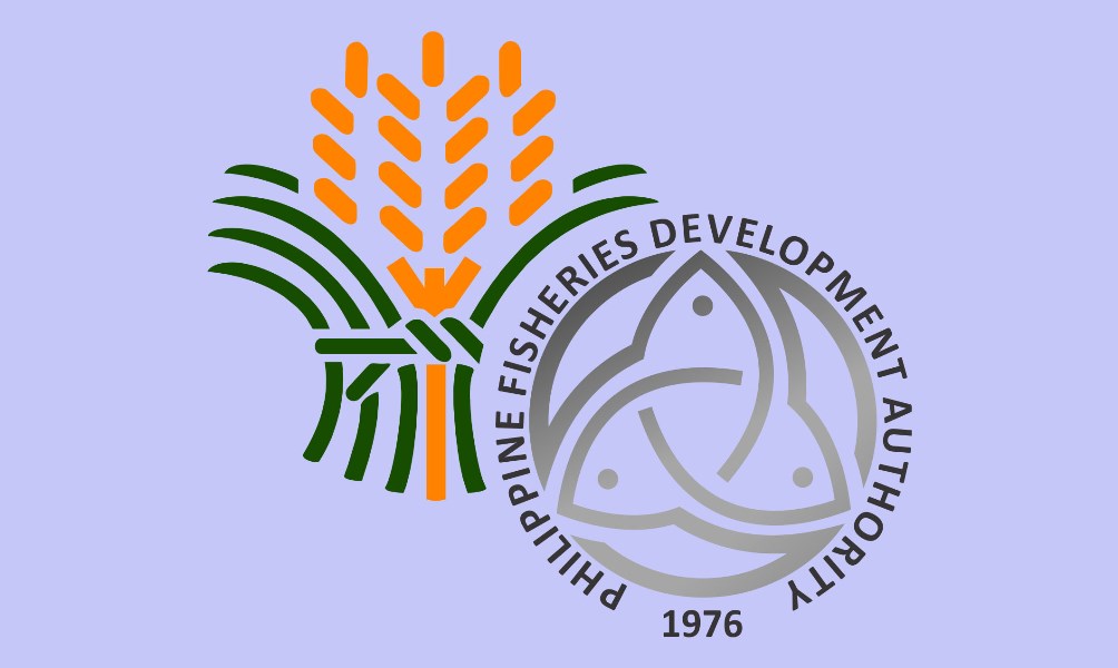 PFDA plant Bau eines regionalen Fischhafens in Cebu - Klajoo ...